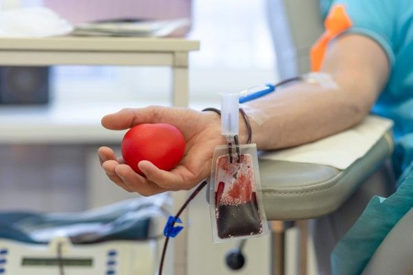 Transplante de medula: tire todas as suas dúvidas sobre o tema