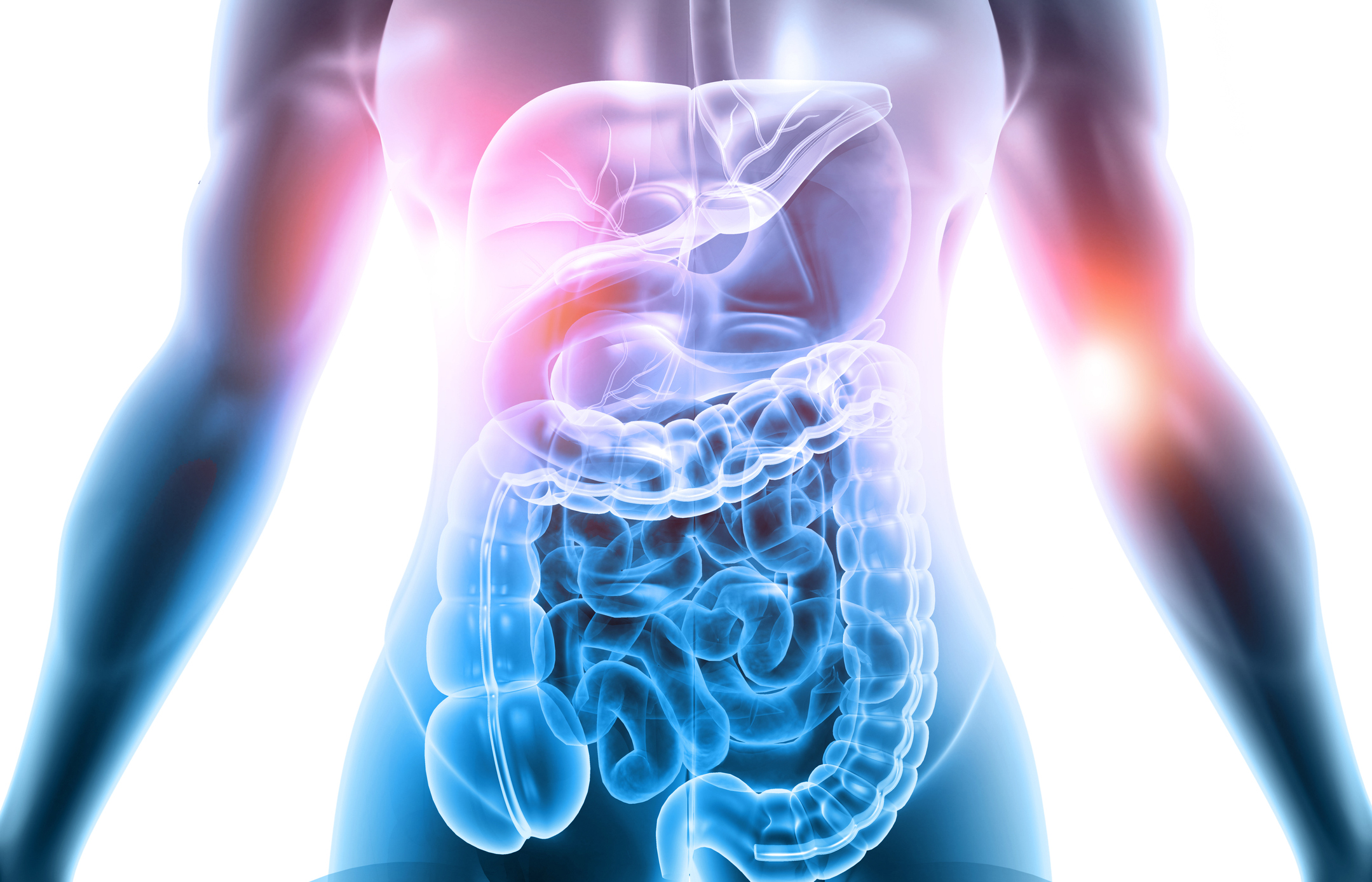 Cuide do seu intestino e previna doença gastrointestinal